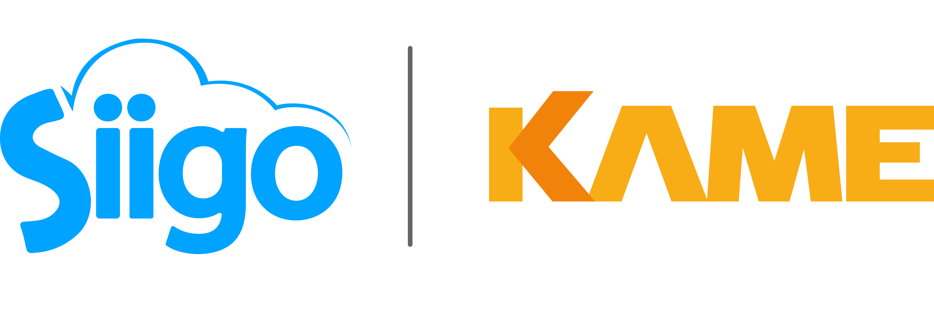 Planes y precios software contable y de gestión | Siigo KAME